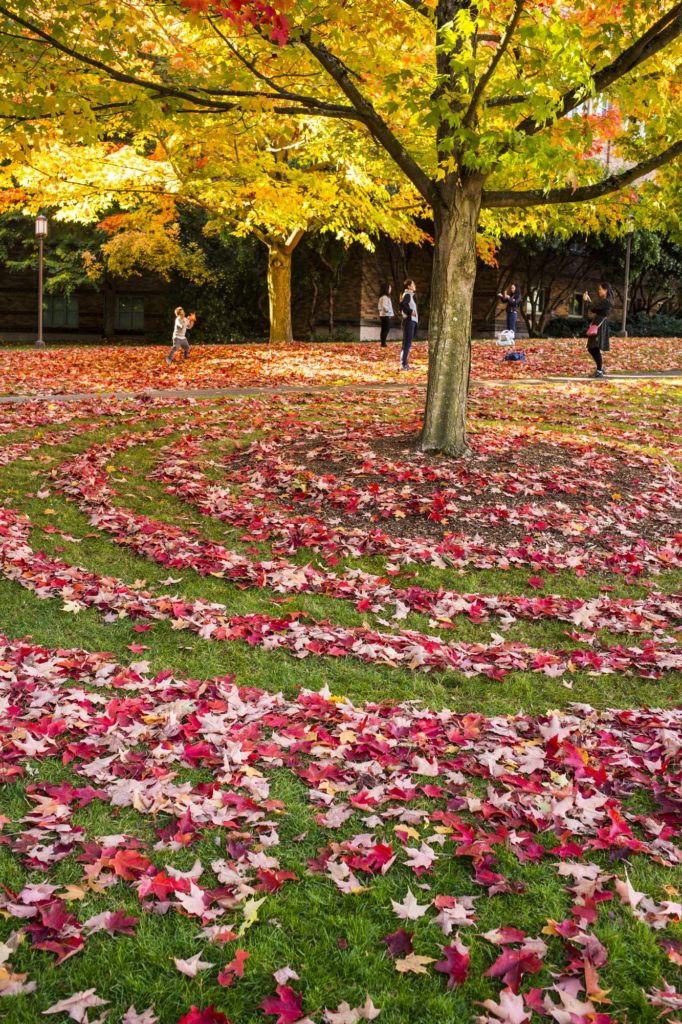 Visit the UW – Office of Admissions